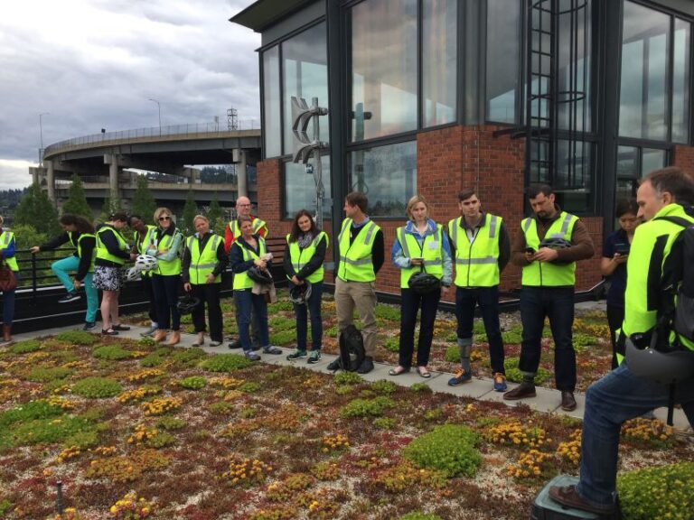 Home - GSI Impact Hub