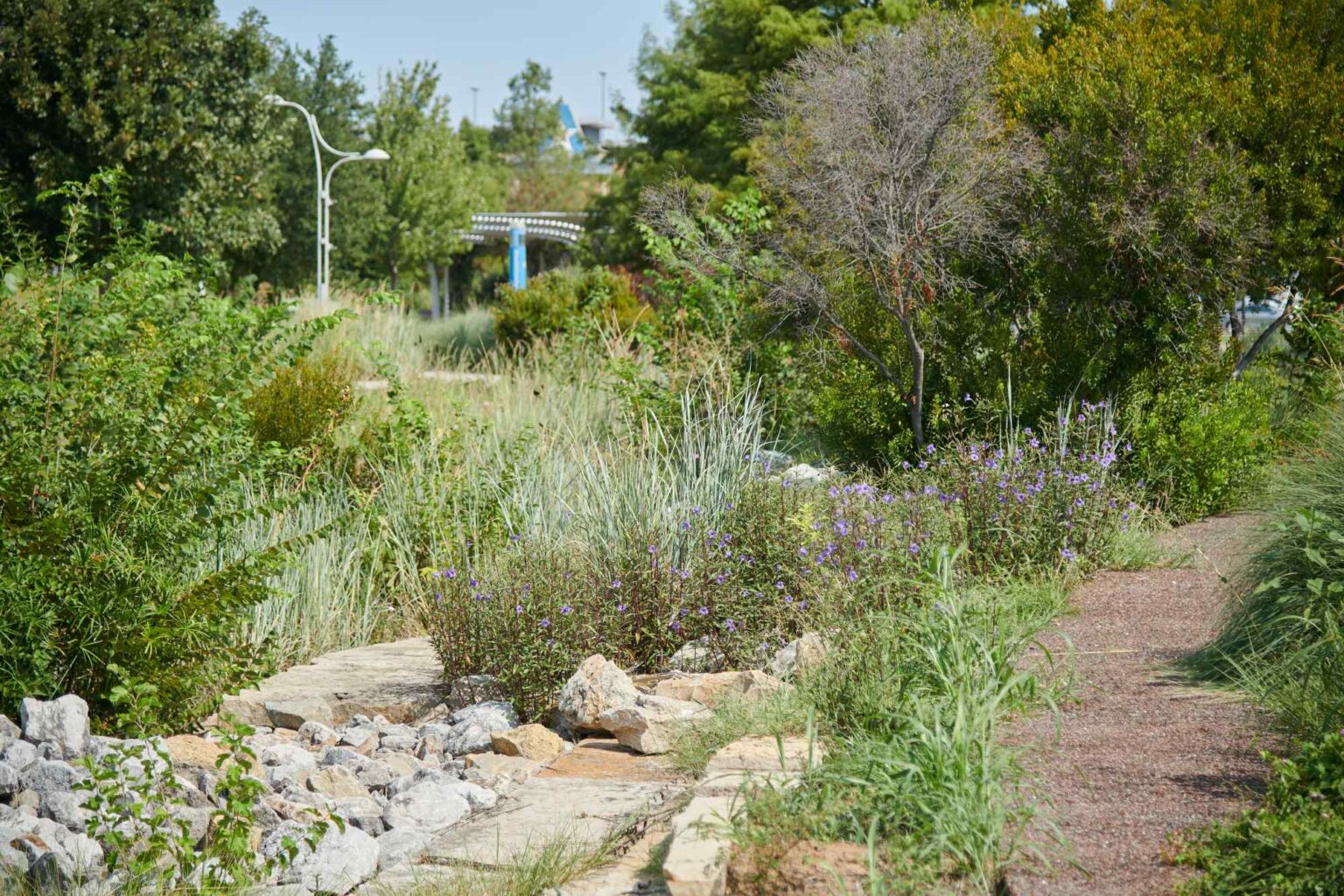 About - GSI Impact Hub